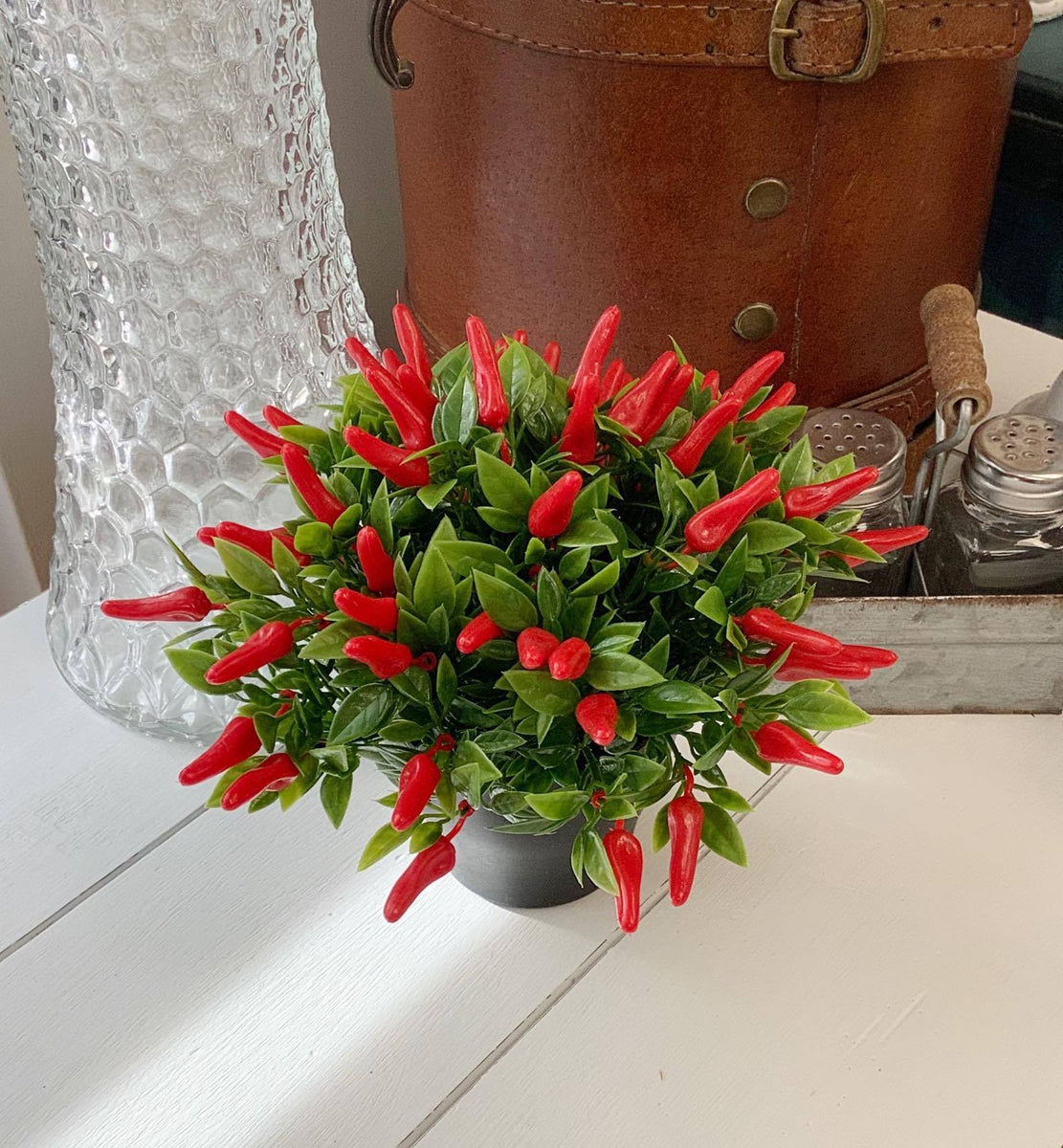Pepper Plant – Queen Bee Creations Home